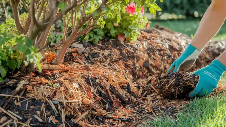 Improve Soil Health With These Mulching Techniques – Best Playground Sets